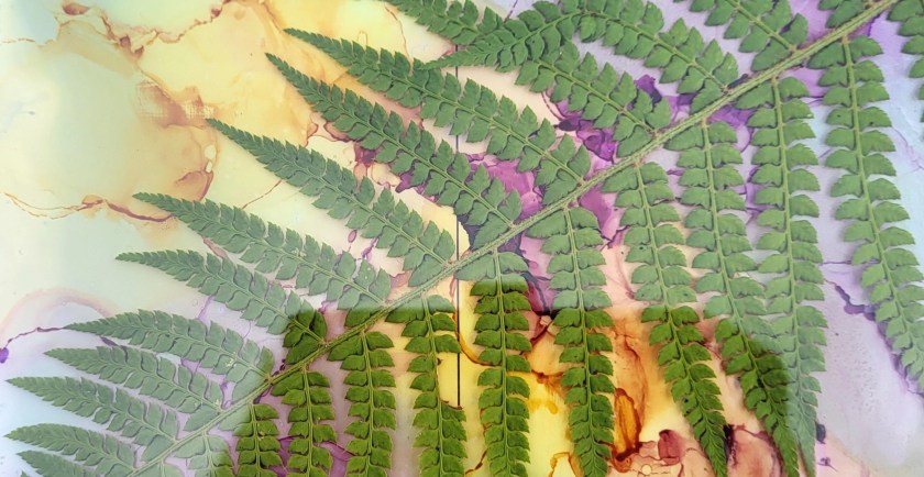 Experimenting with Cyanotype and Alcohol Ink – Anne Bryson Photography