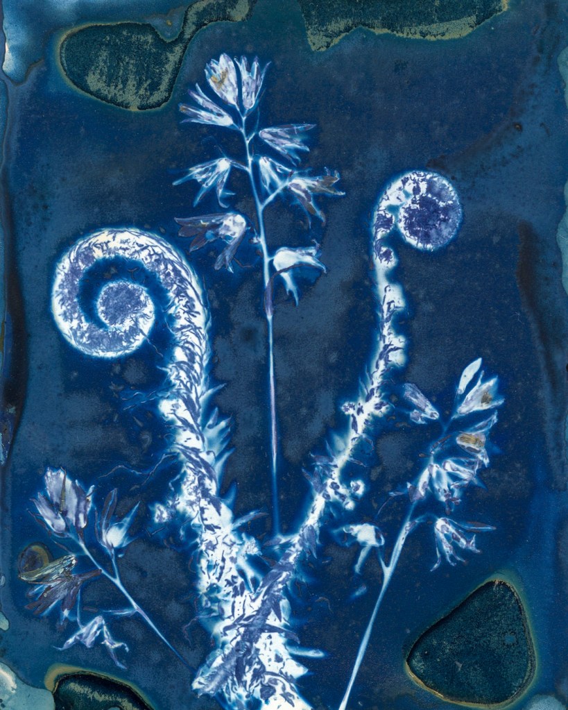 Experiments – Anne Bryson Photography