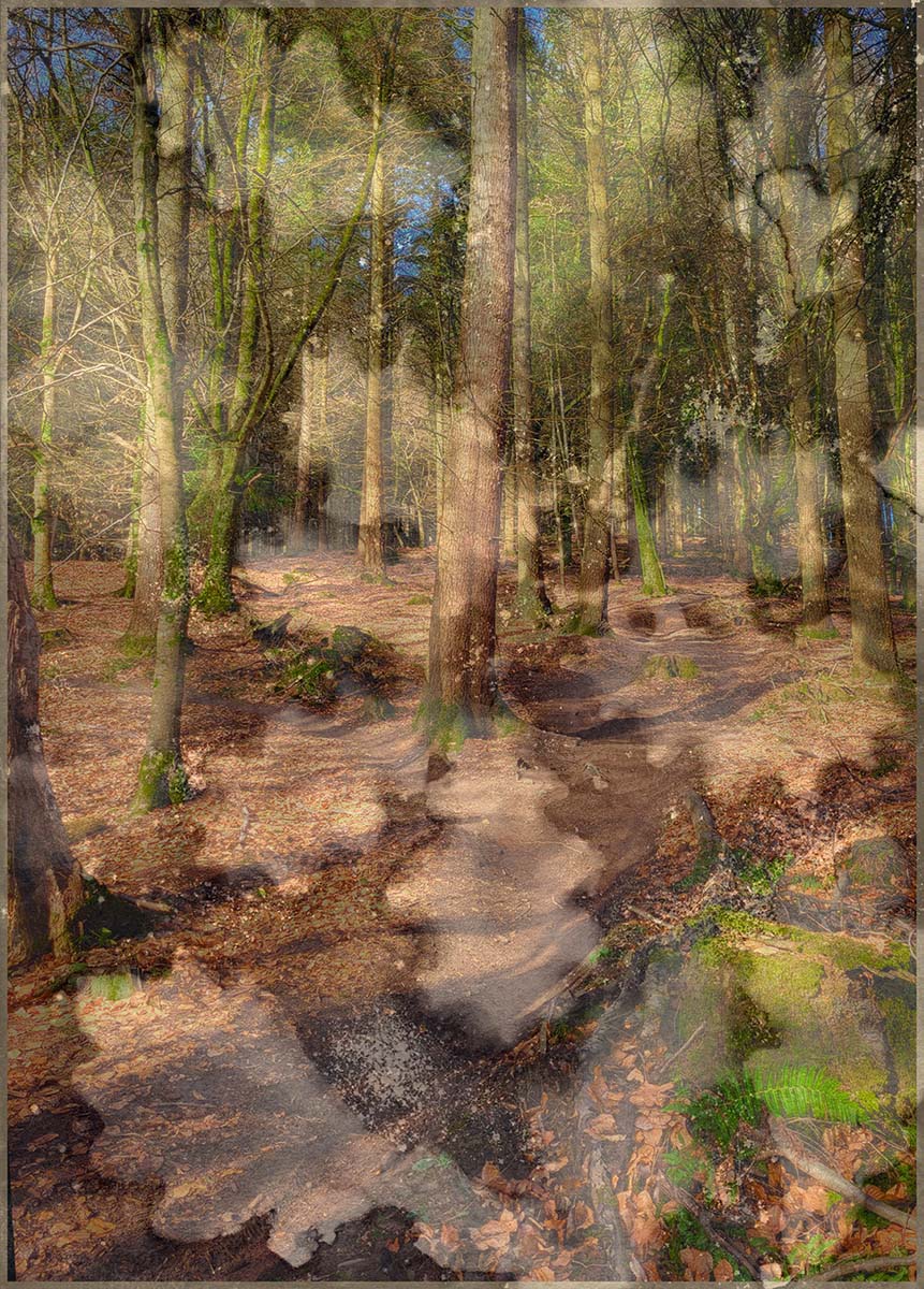 Artquest 30/30 Day 24 ‘Make your art from your biggest stress’ – Anne ...